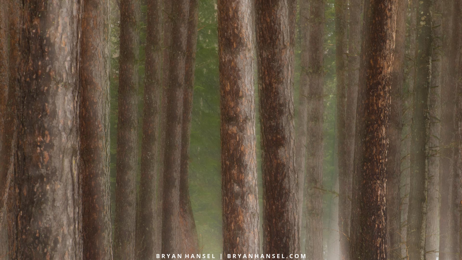 Get Free Zoom Backgrounds from the North Shore of Minnesota